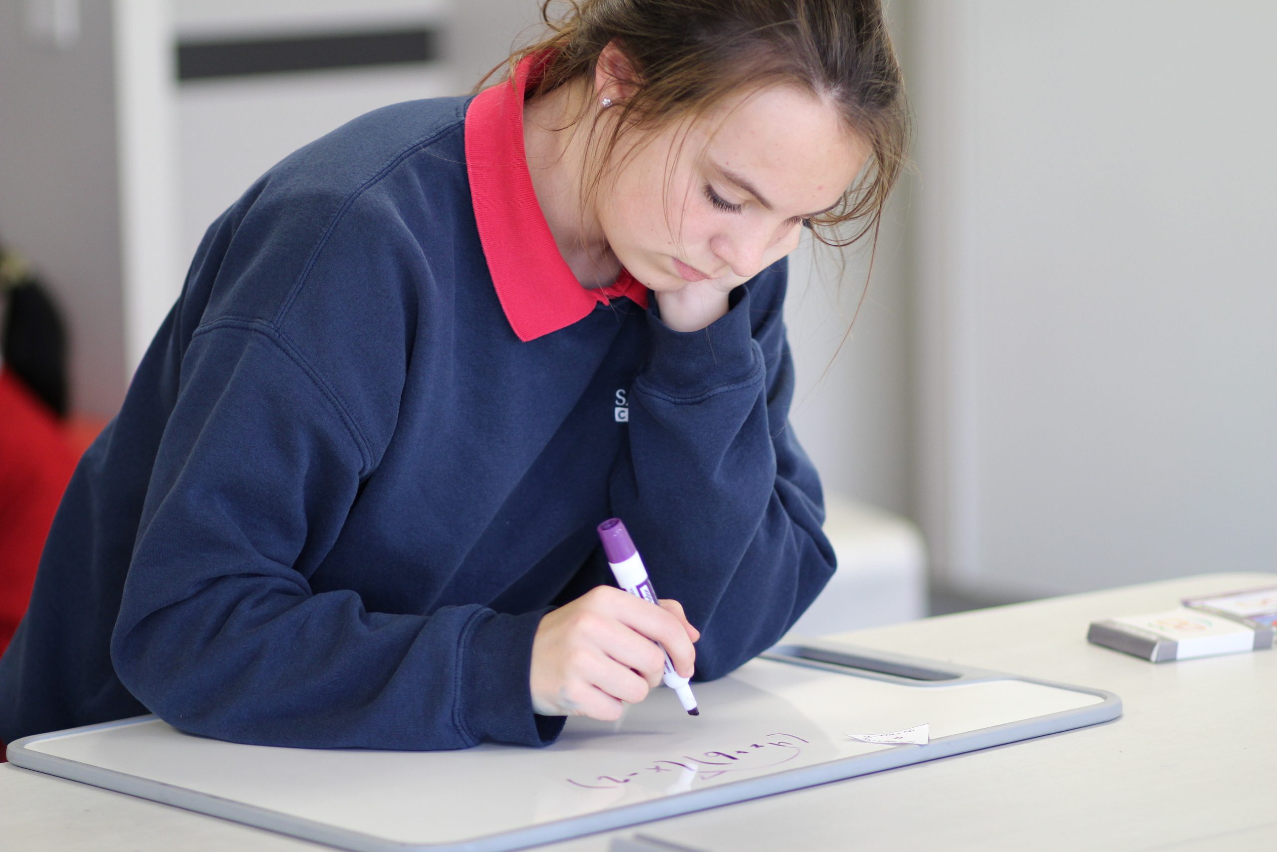 The Math Hub – St. Agnes Catholic School